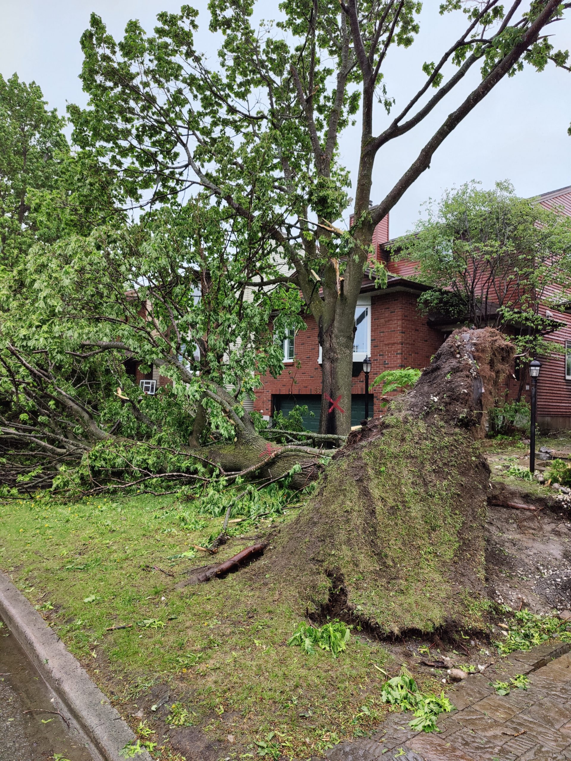 Anglo-Celtic Connections - Page 44 of 120